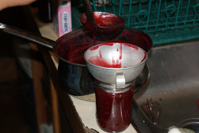 Ten Swamp Dogies II: POKEBERRY